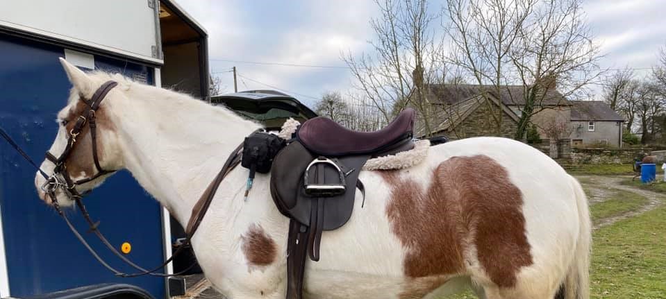 5 things to carry with you the next time you go out for a hack - Your Horse