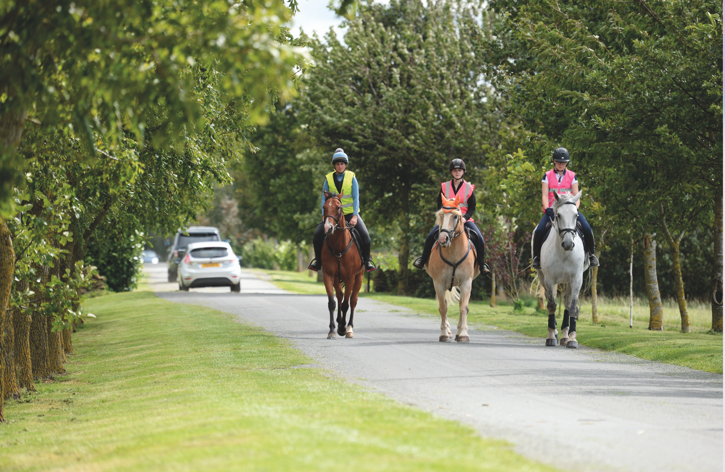The many benefits of hacking a horse (for both of you) - Your Horse