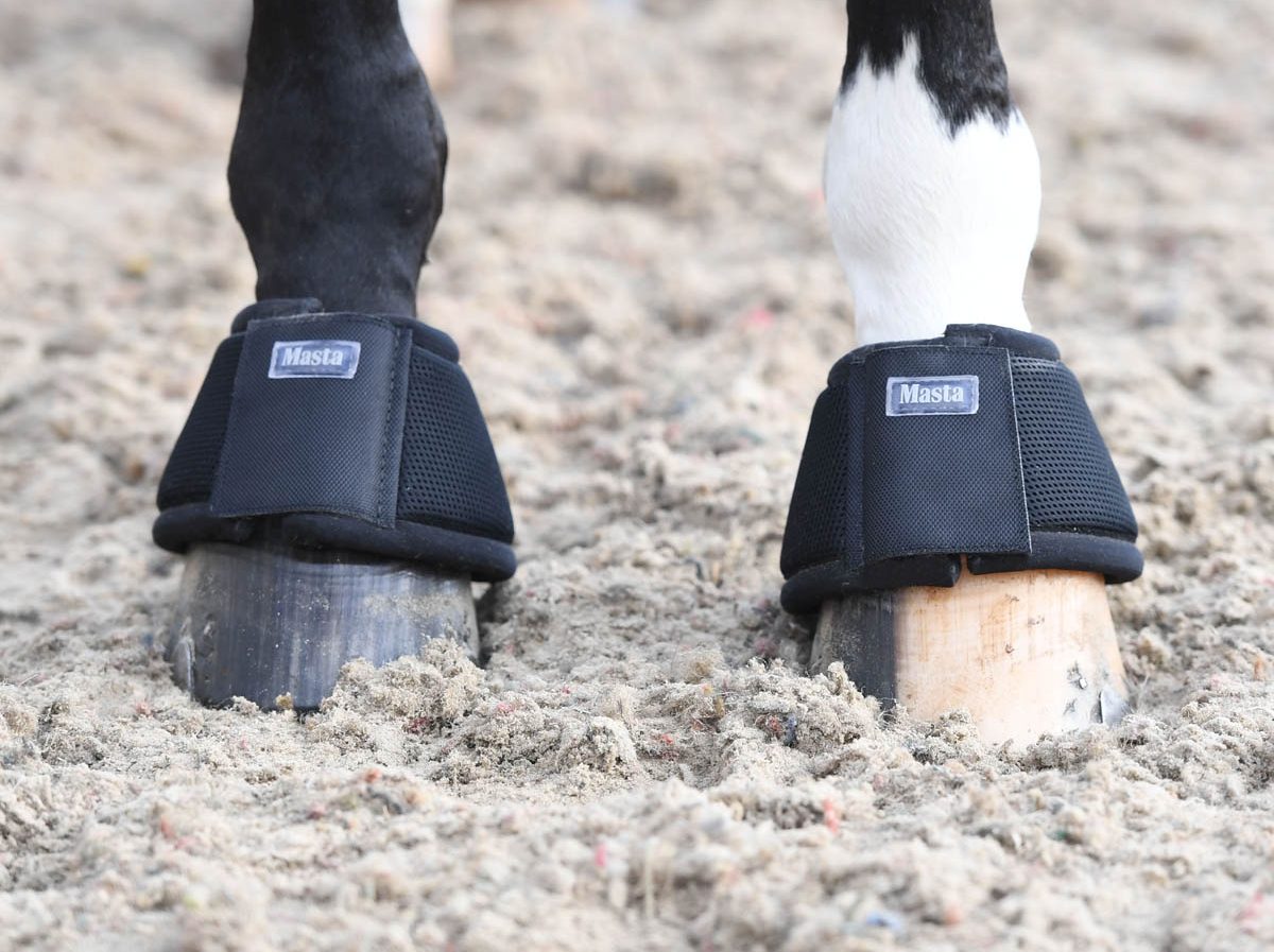 Over reach boots: buying guide - Your Horse