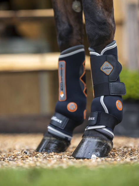 Does magnetic therapy for horses really work? - Your Horse