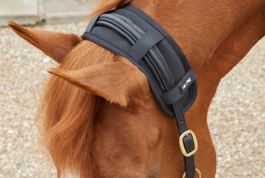 Does magnetic therapy for horses really work? - Your Horse