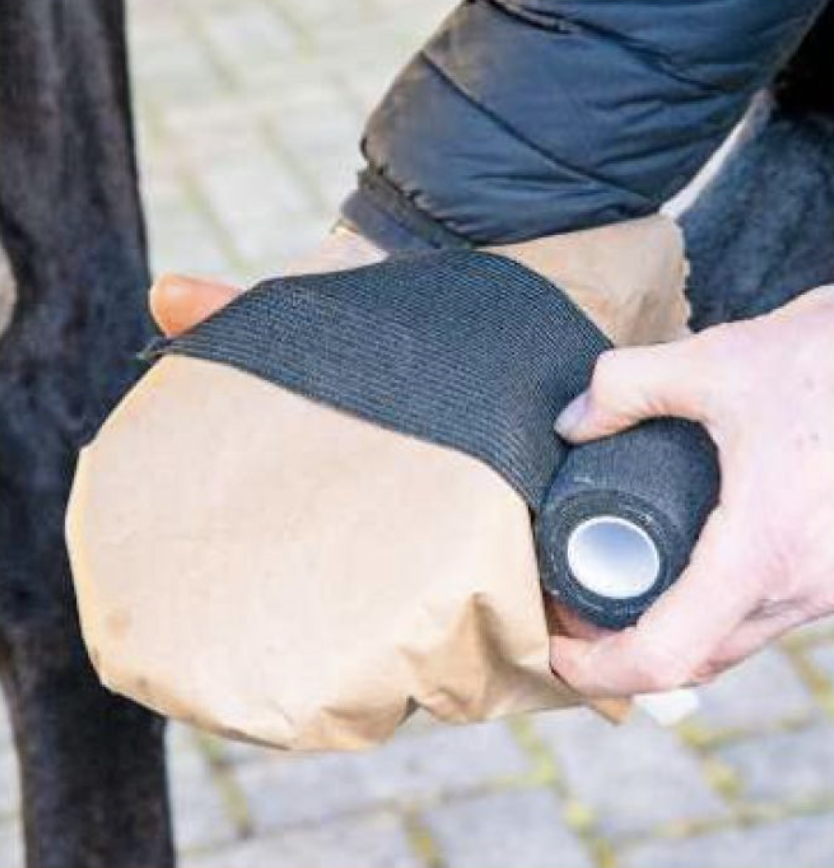 How to poultice a hoof: Alan Davies' step-by-step picture guide - Your ...