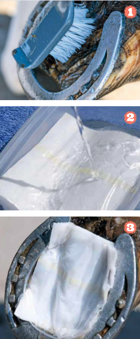 How to poultice a hoof correctly - Your Horse