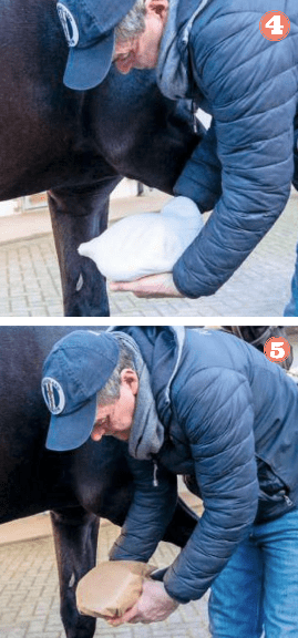 How to poultice a hoof correctly - Your Horse
