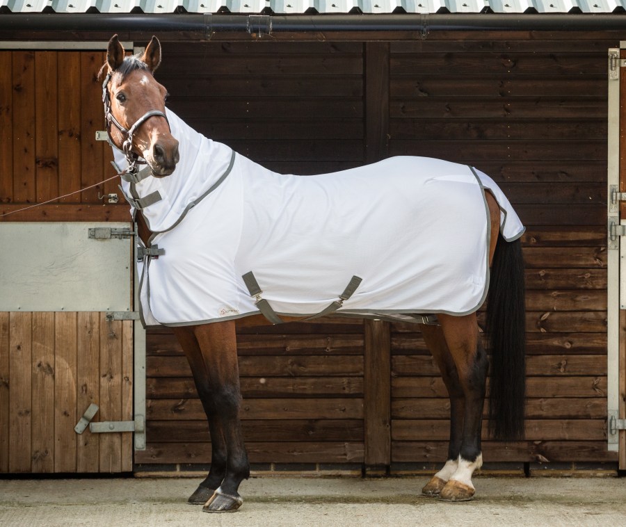 Buzz off: Buyer's guide to choosing a fly rug - Your Horse