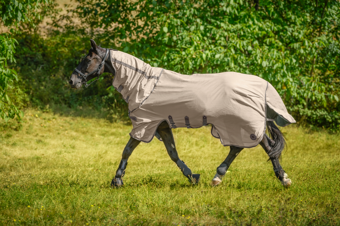 Buzz off: Buyer's guide to choosing a fly rug - Your Horse