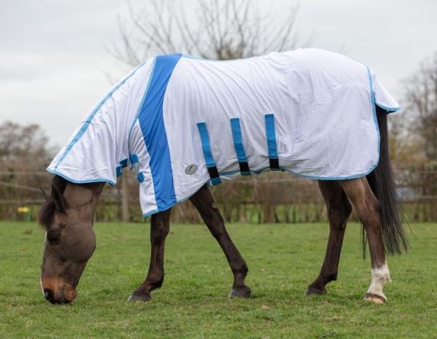 Buzz off: Buyer's guide to choosing a fly rug - Your Horse