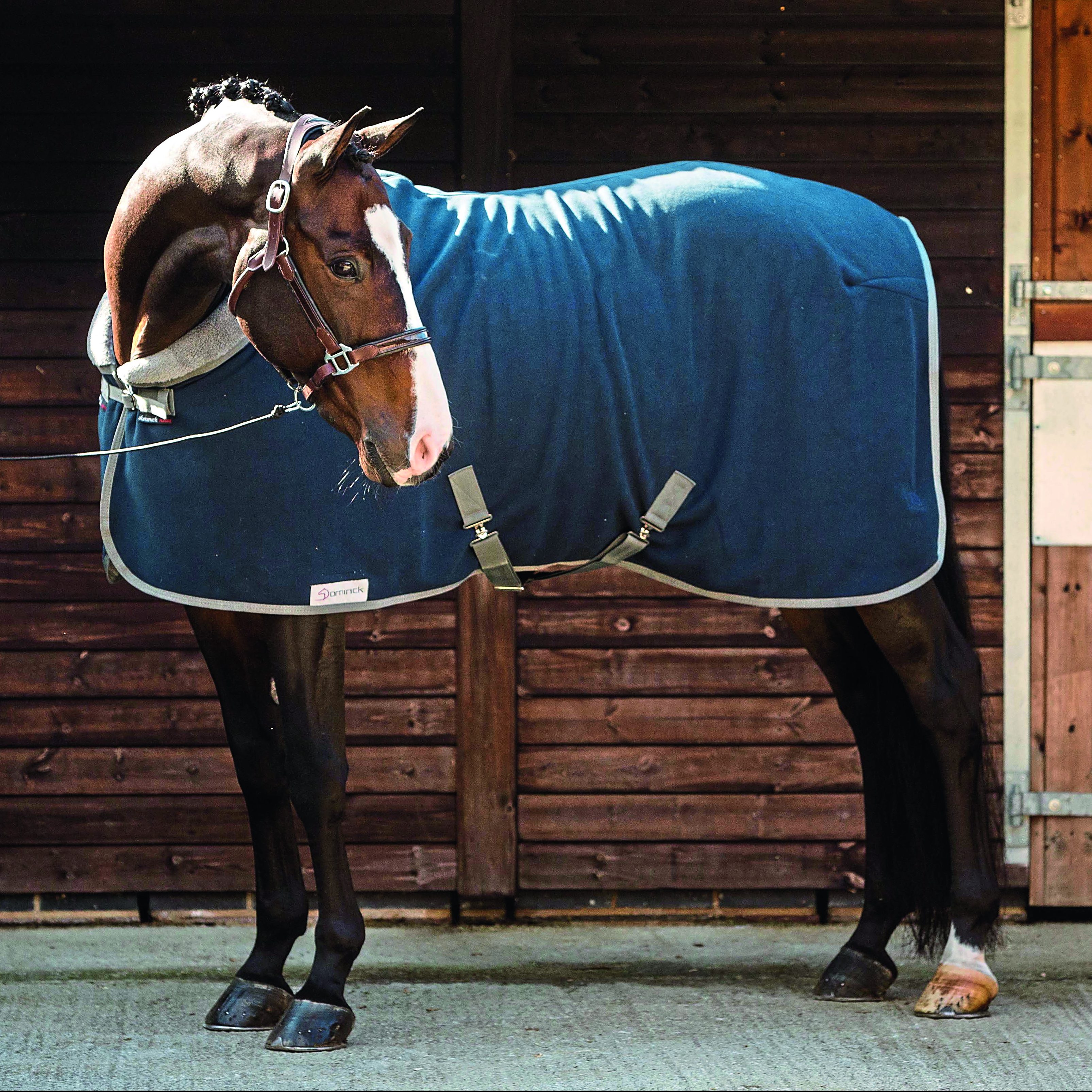 14 versatile cooler and travel rugs for horses - Your Horse
