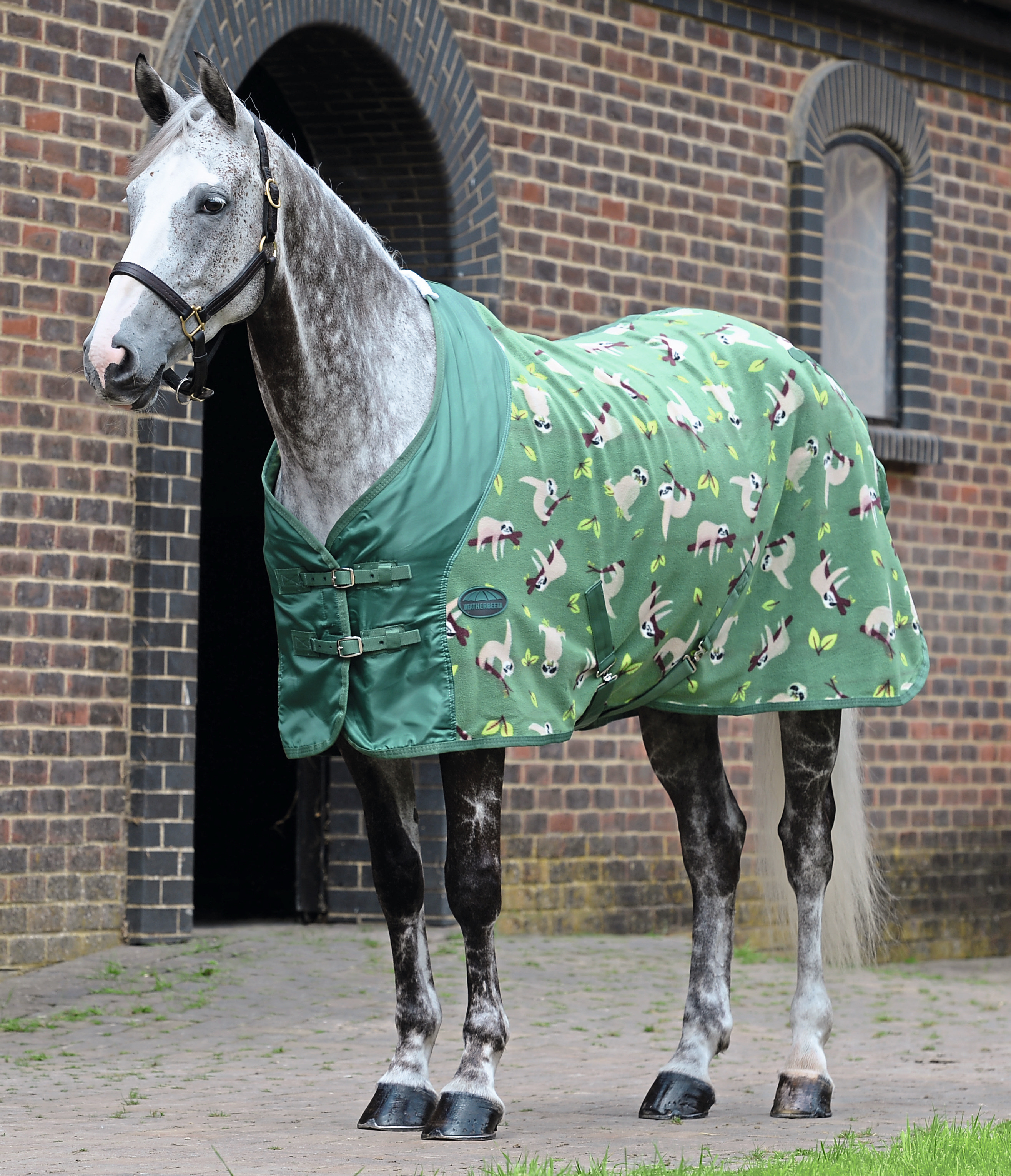 14 versatile cooler and travel rugs for horses - Your Horse