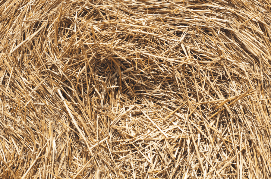 Oat Hay For Horses