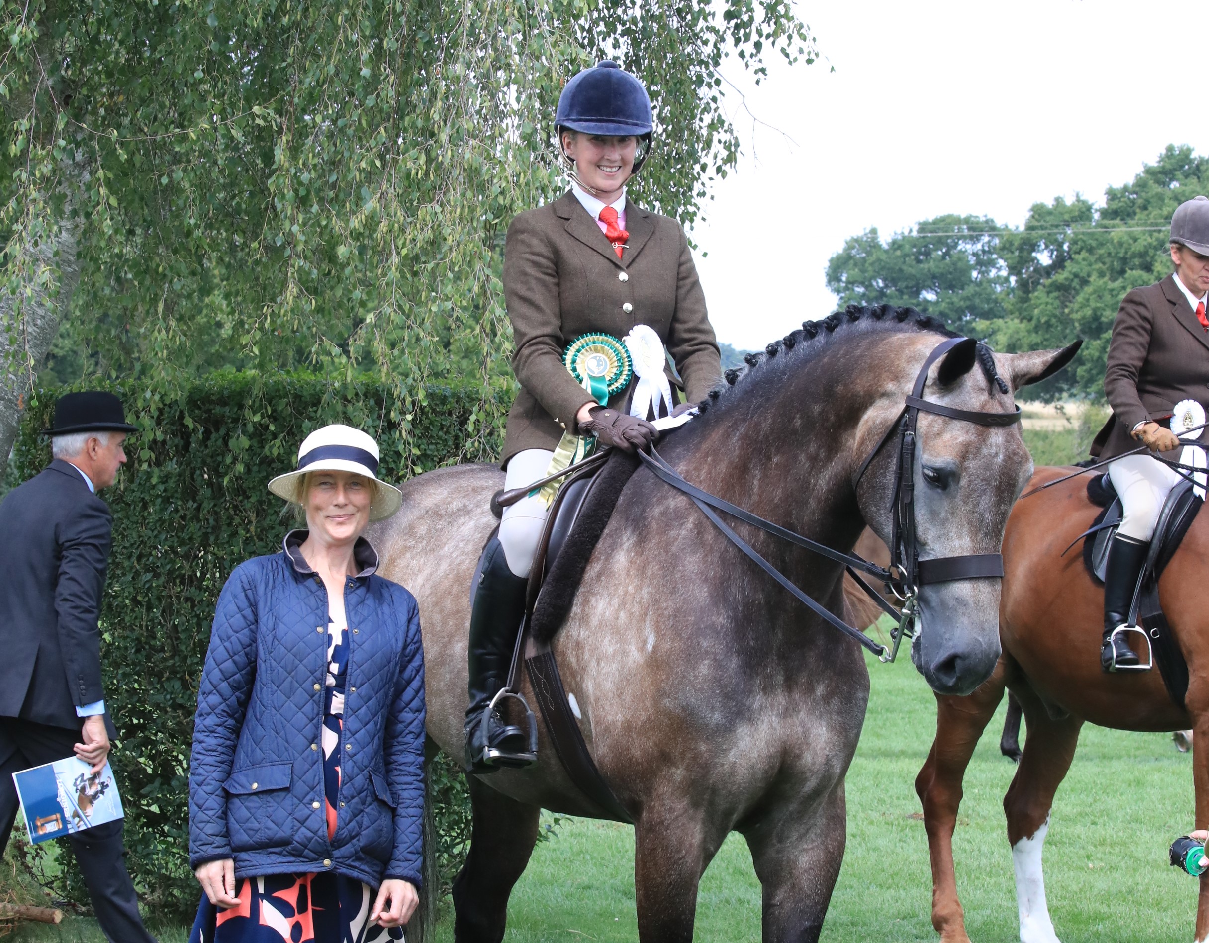 'Far more horses are obese than underweight': Owners of show horses ...