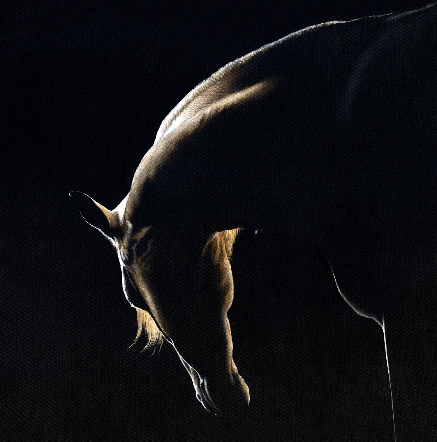 Art exhibition to celebrate the finest equestrian works - Your Horse