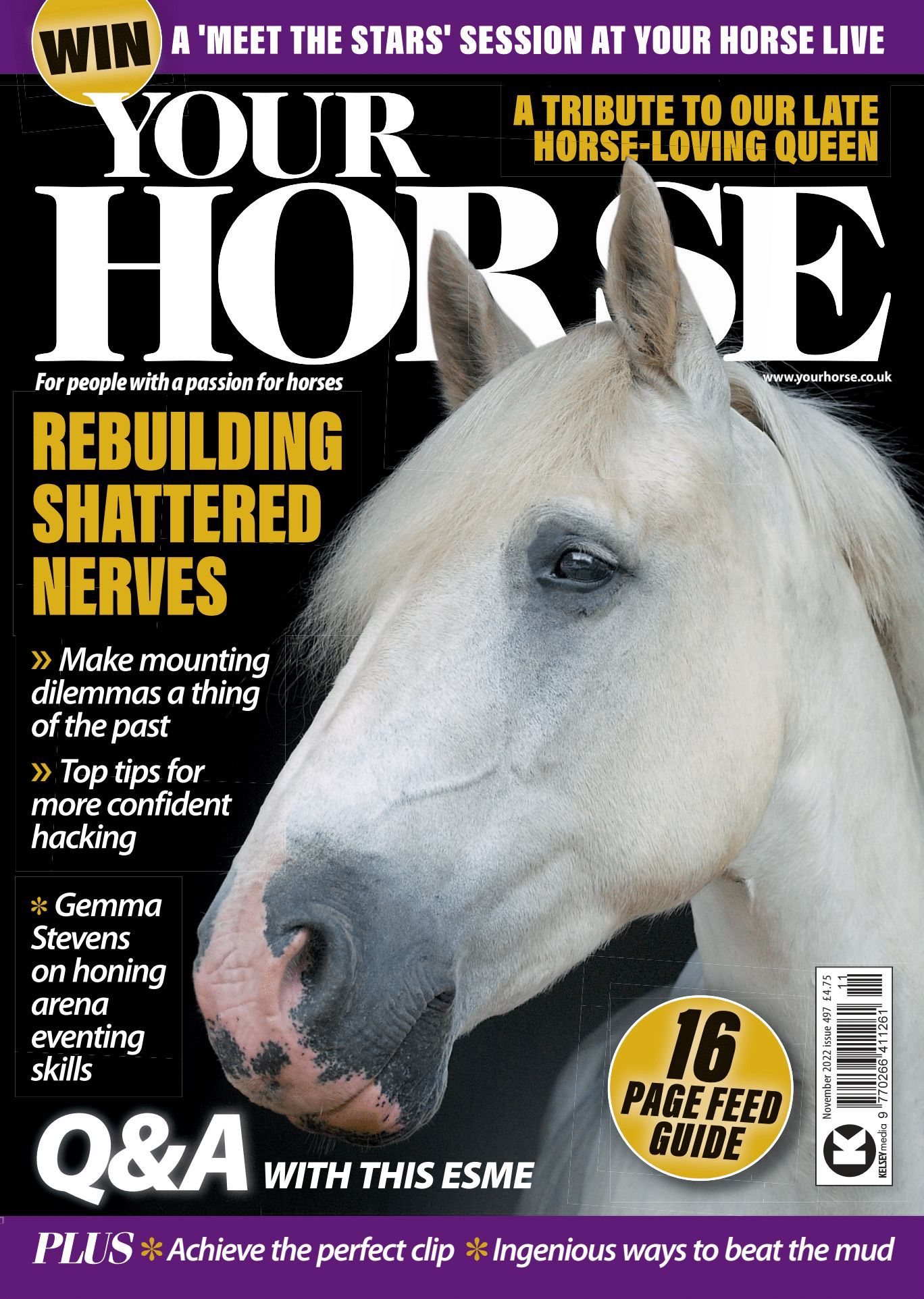 Inside the November issue of Your Horse - Your Horse