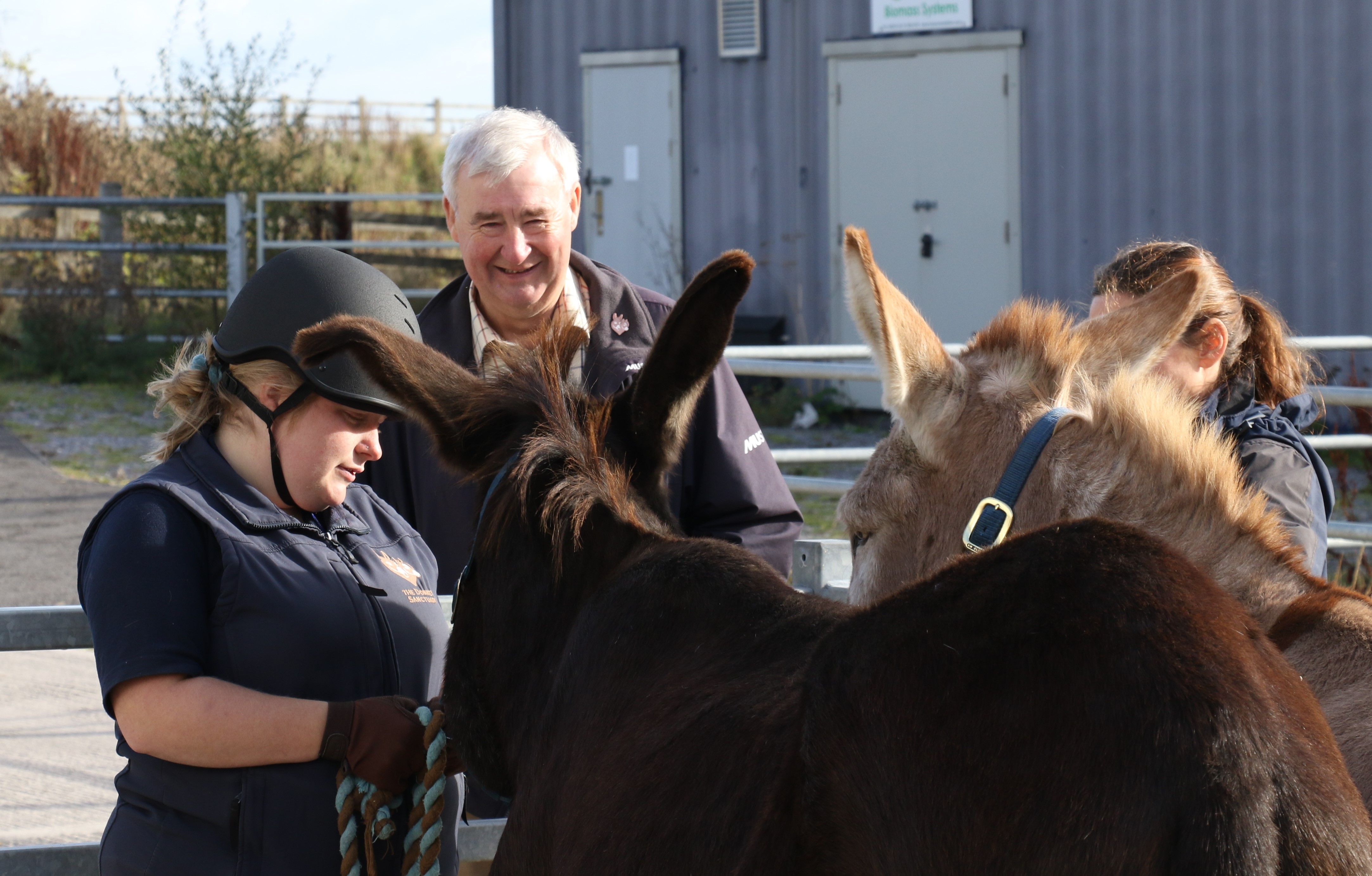 TV's Yorkshire Vet praises surgery to remove donkey's eye - Your Horse