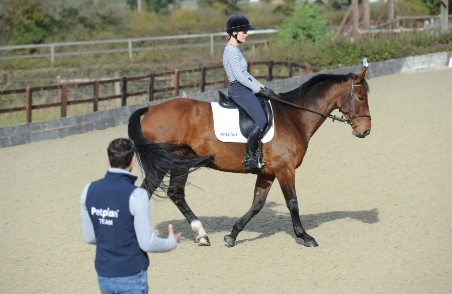 Maximise your prelim dressage marks and ride your best test yet with ...