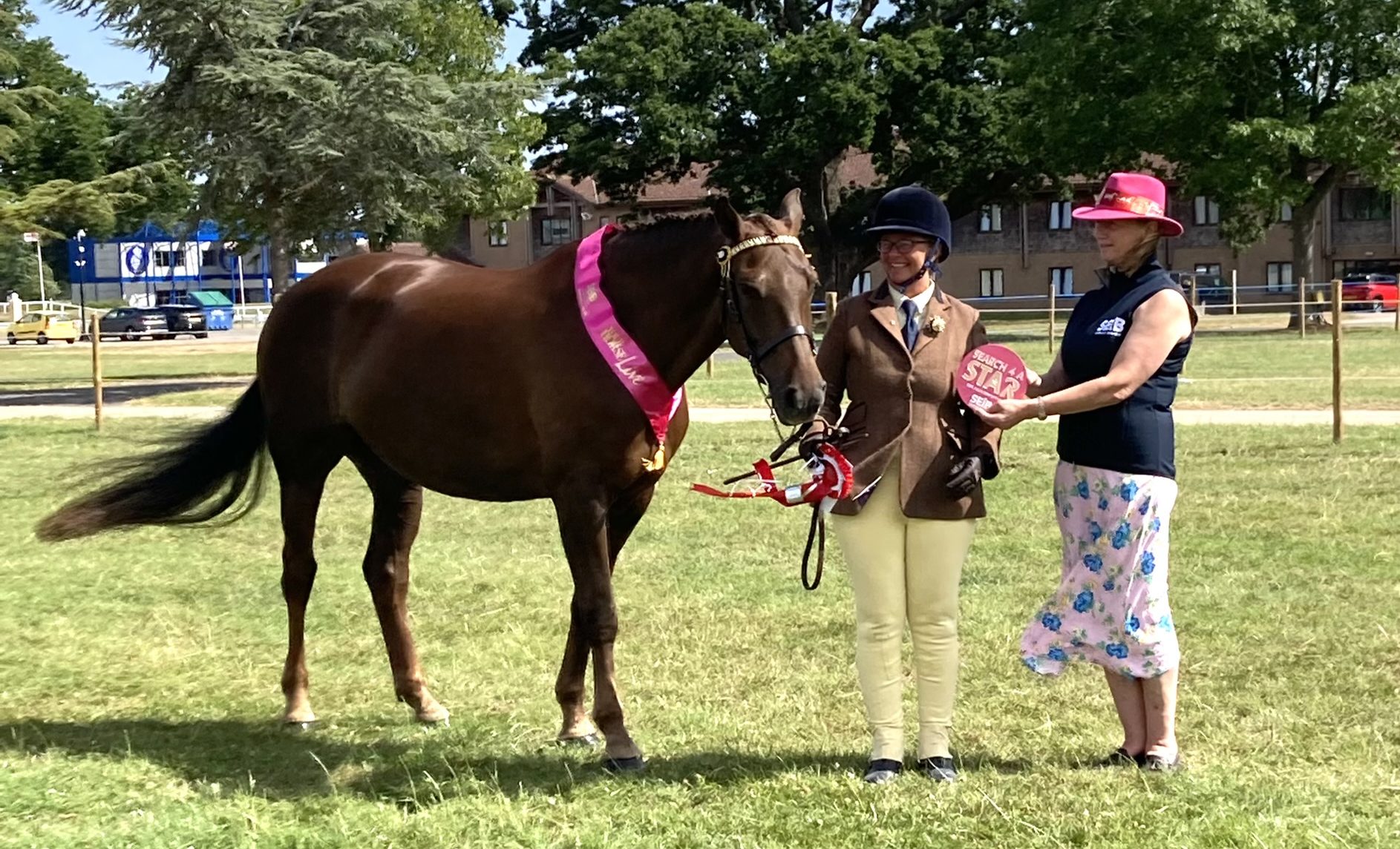 Take a sneak peak at the Your Horse Live plaited, native and ...