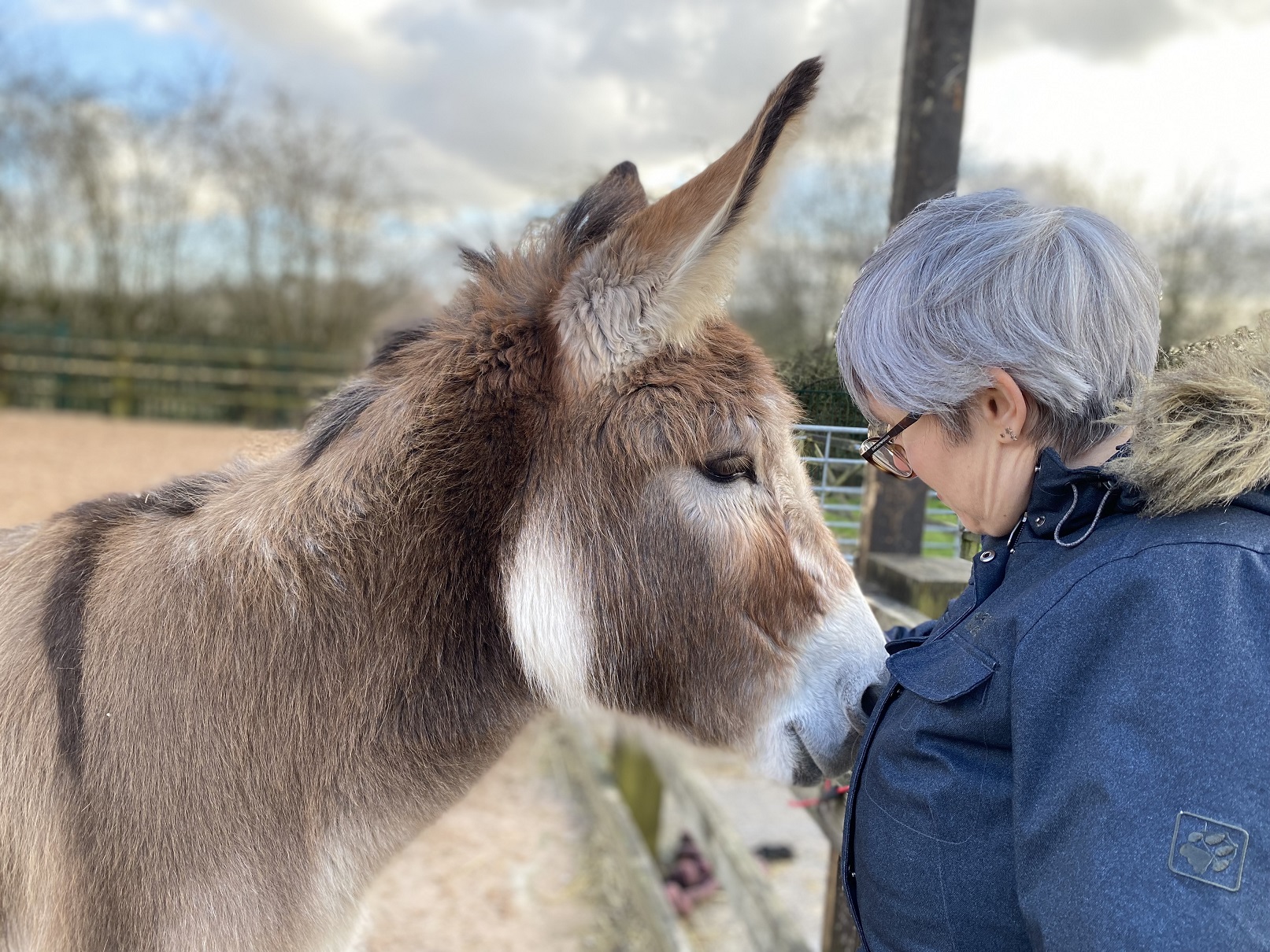 Welcome progress for donkey-assisted therapy programmes - Your Horse