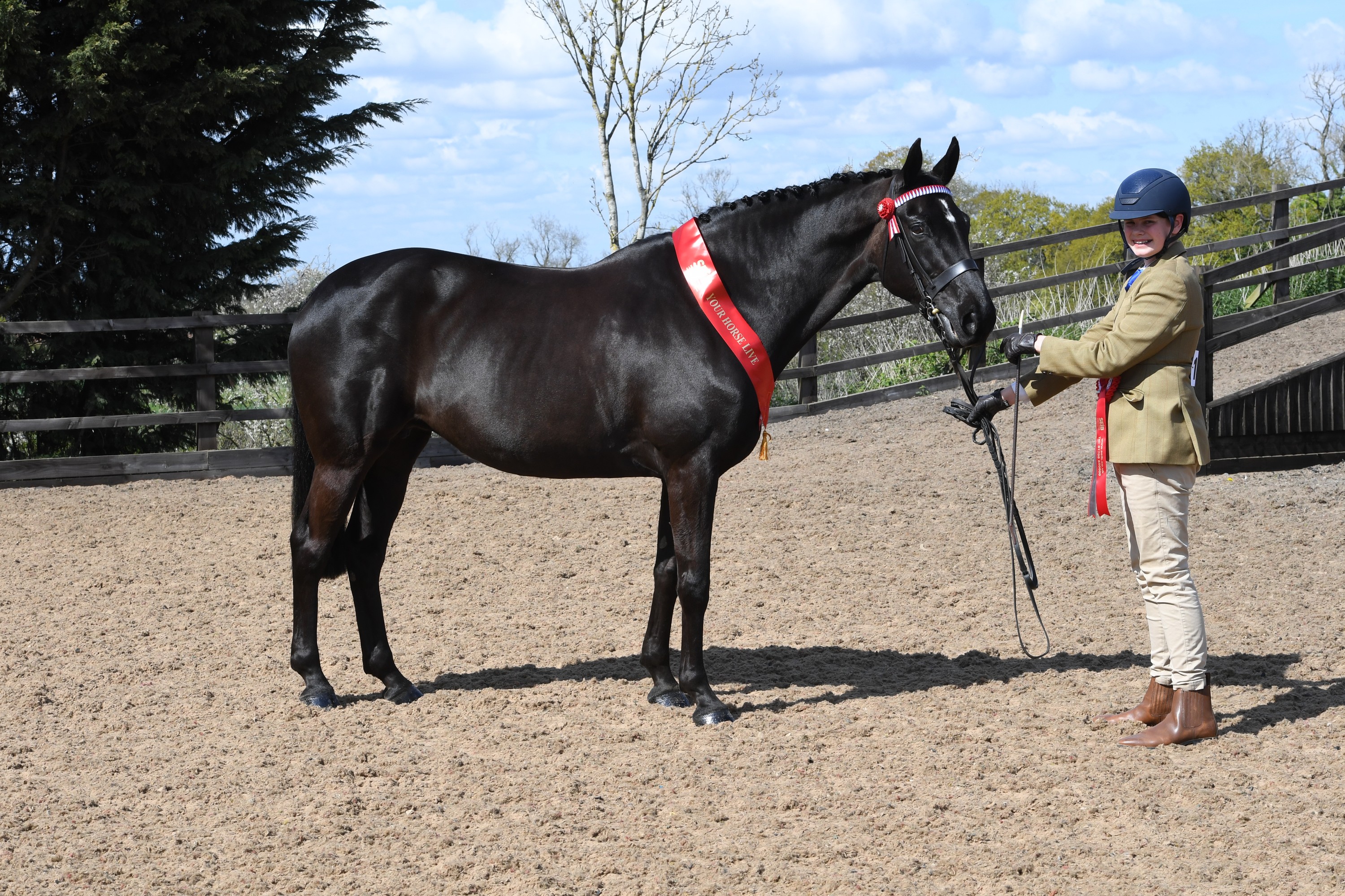 Take a sneak peak at the Your Horse Live plaited, native and ...