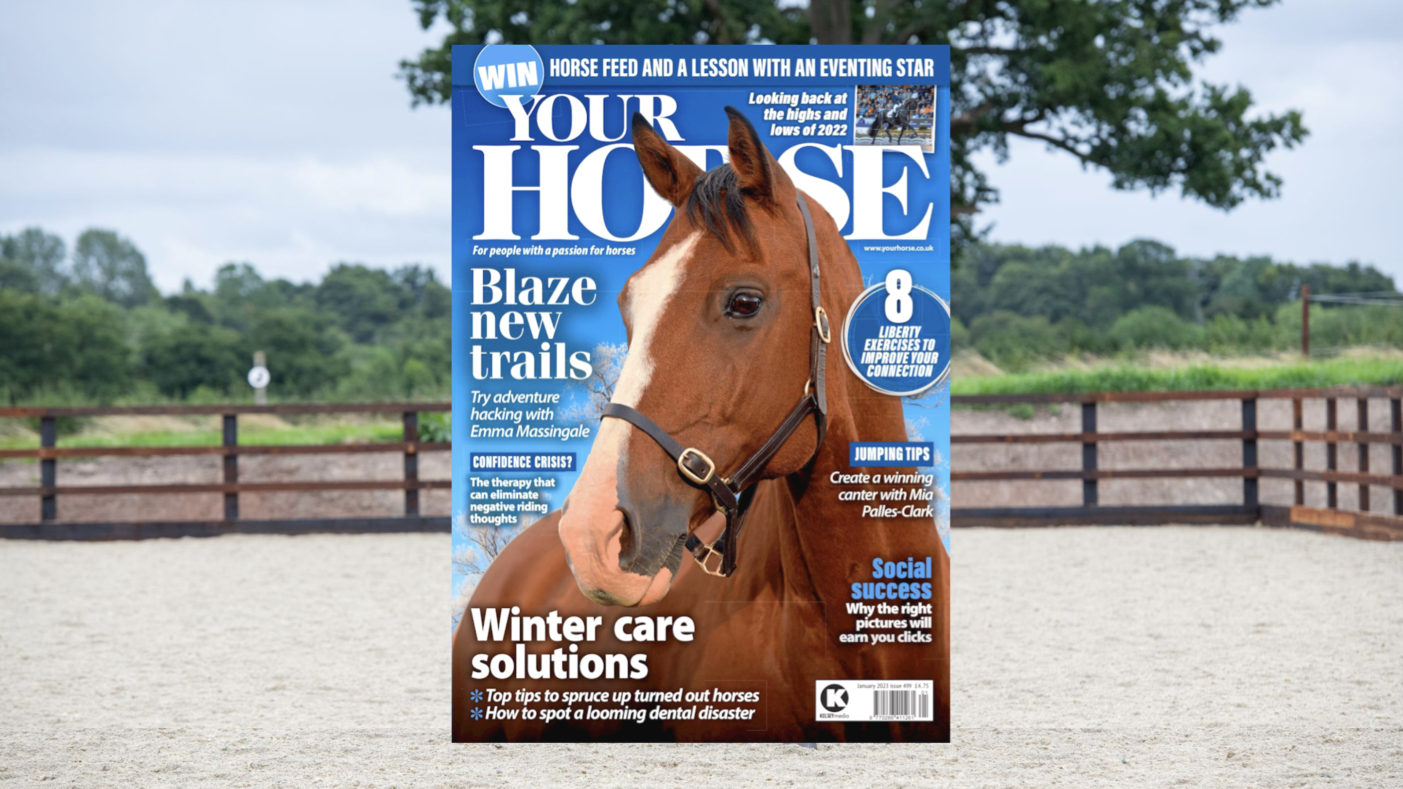 Inside the January issue of Your Horse including our clipping special ...