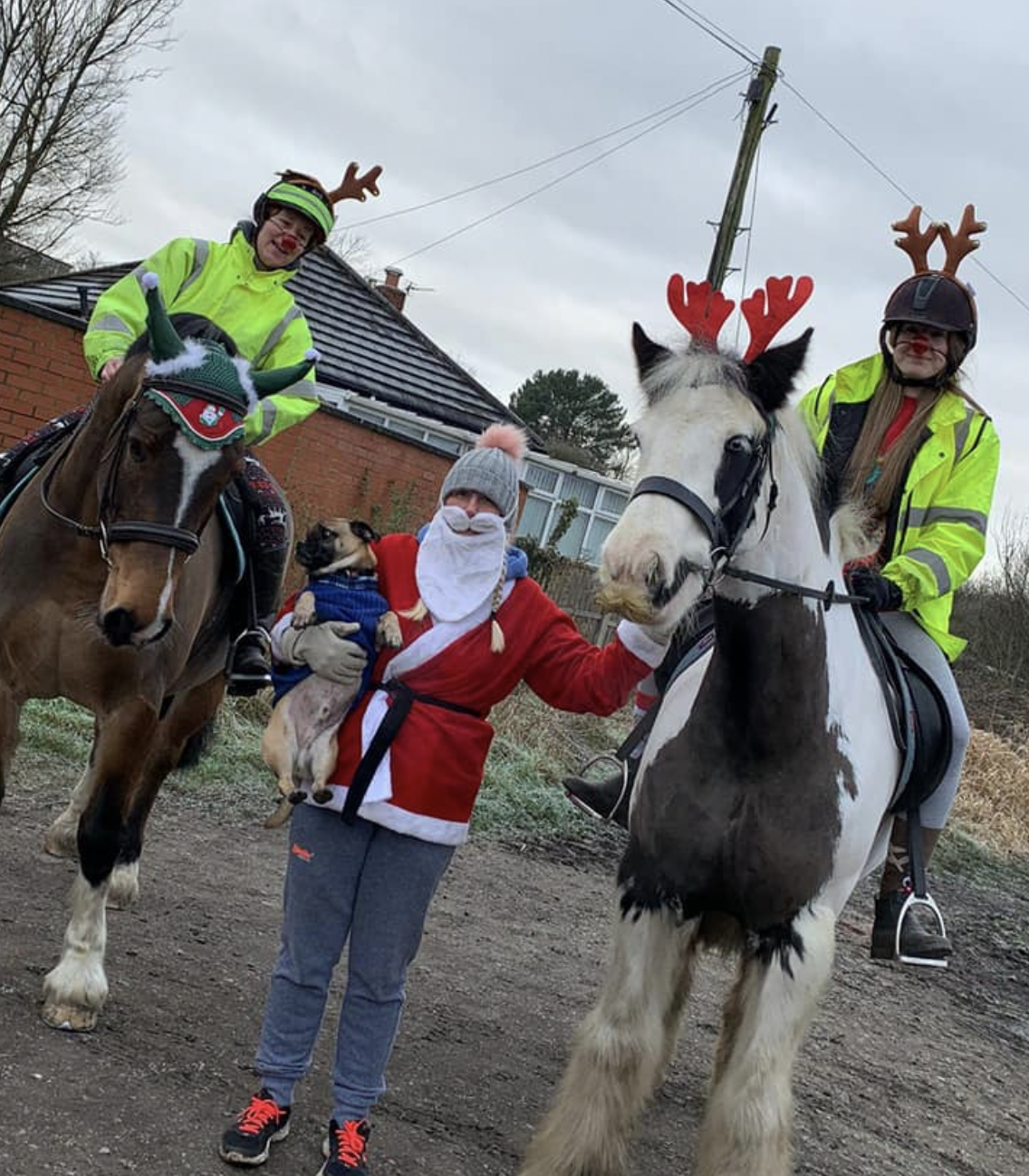 Hacking around the Christmas tree: Our #Hack1000Miles riders share ...