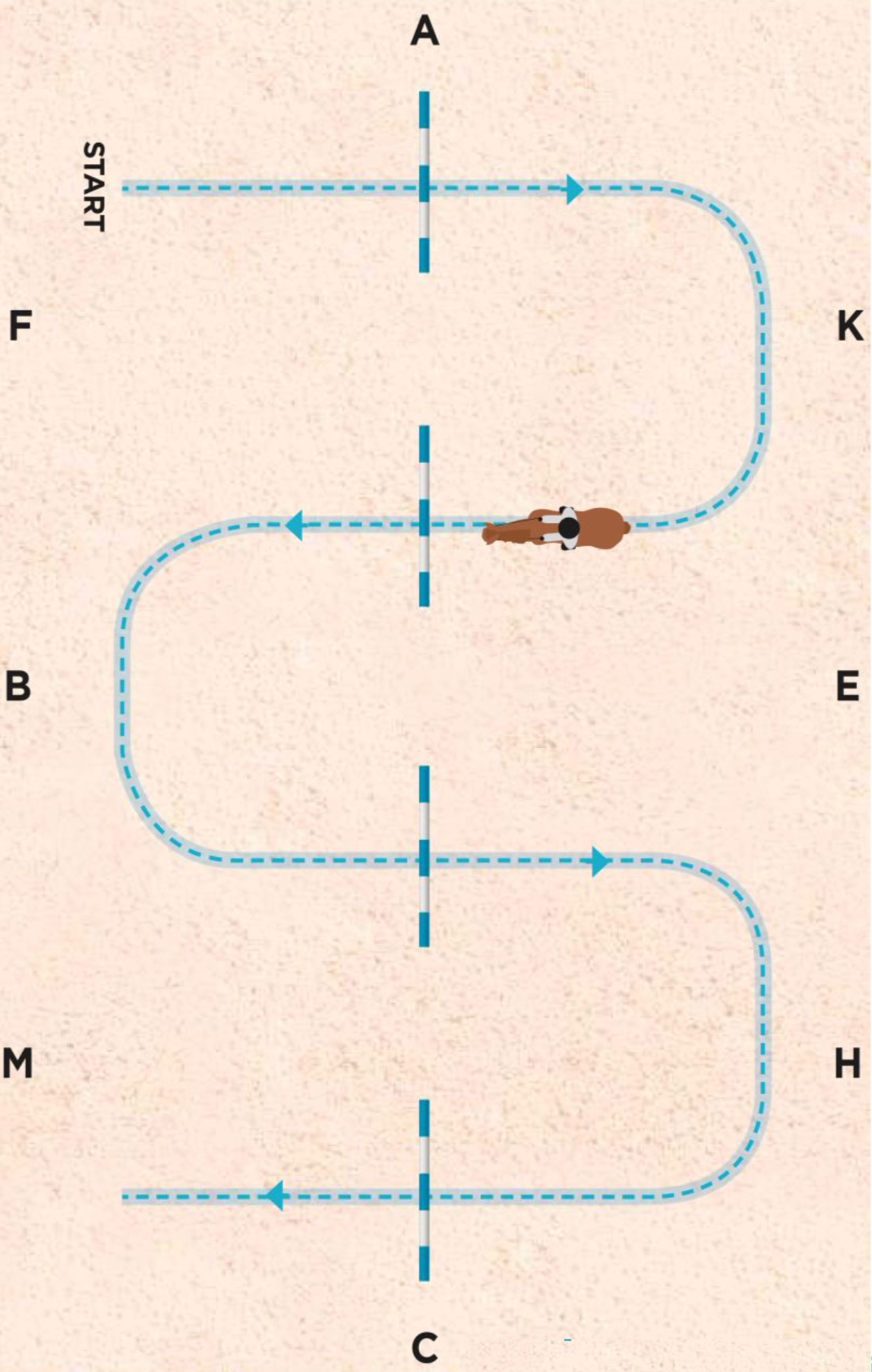 Four pole work exercises for a full winter workout - Your Horse