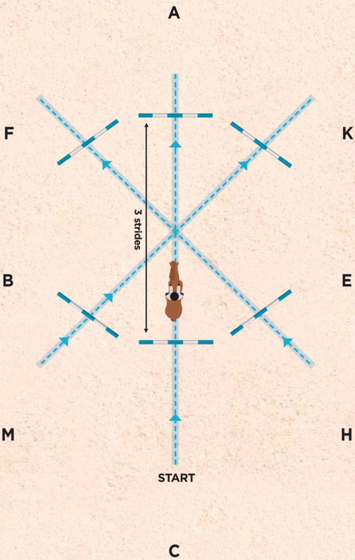 Four pole work exercises for a full winter workout - Your Horse