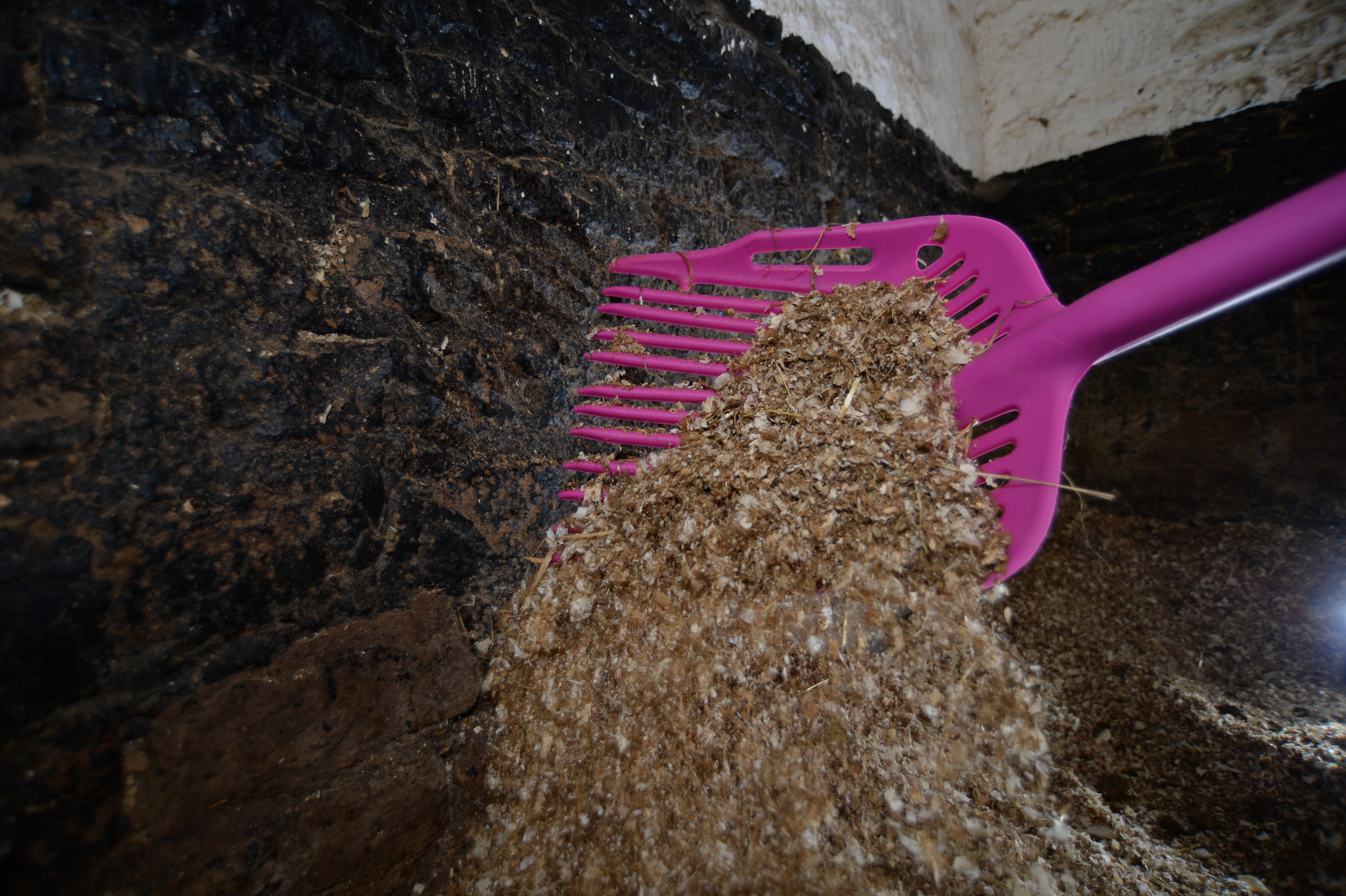 Six of the best forks for mucking out this winter - Your Horse