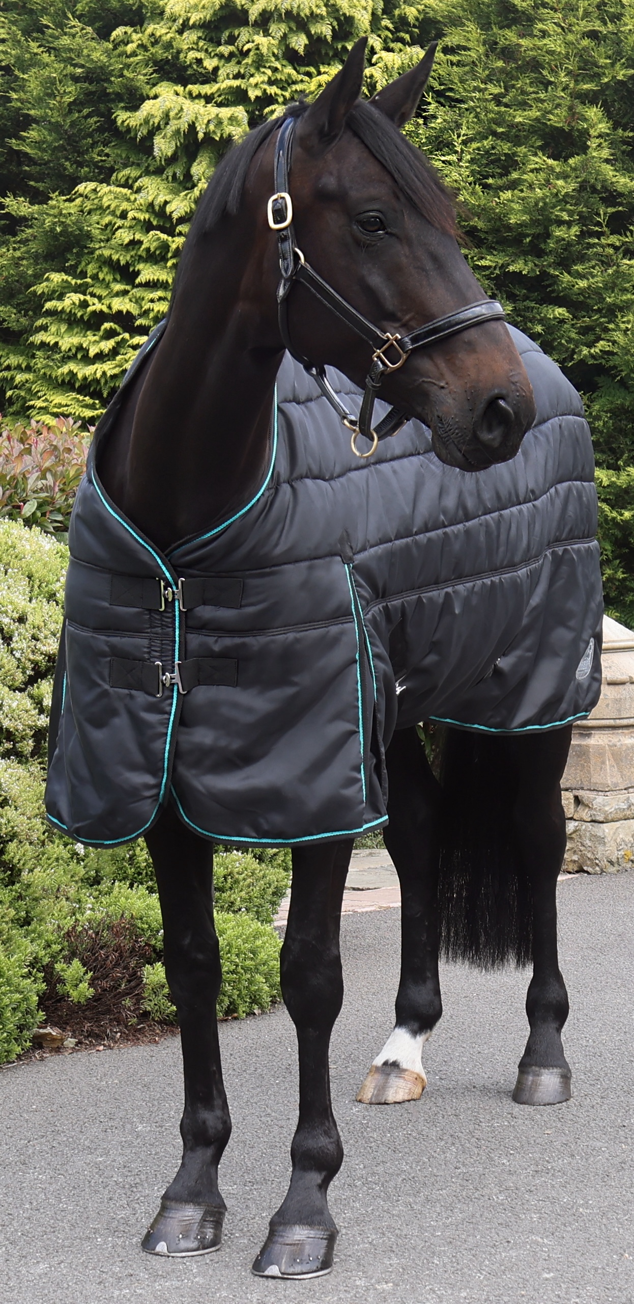 25 stable rugs to keep your horse warm and cosy this winter - Your Horse