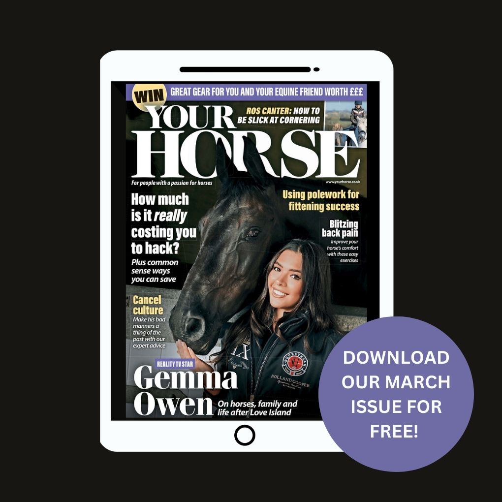 Inside the September Issue of Your Horse Magazine - Your Horse