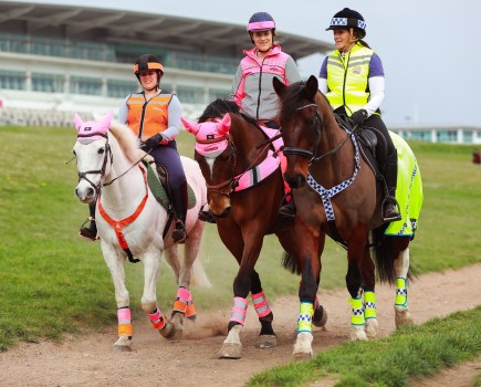 Nominate your favourite equine charity amid challenging times - Your Horse