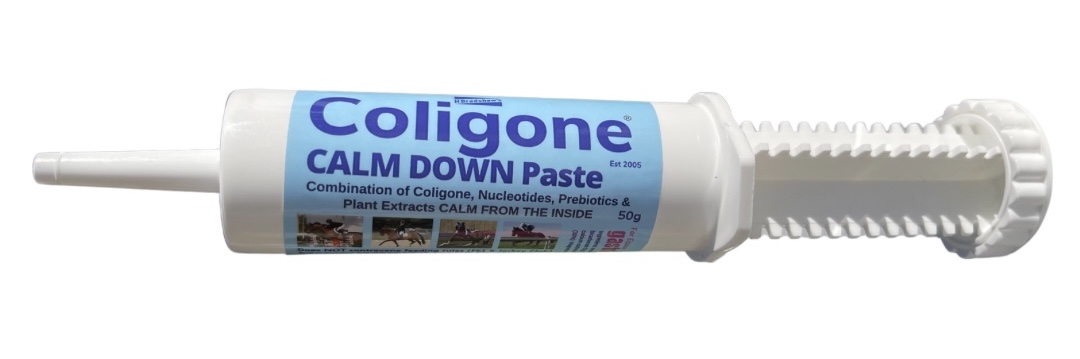 How to know when to feed a calmer and what's on the market - Your Horse