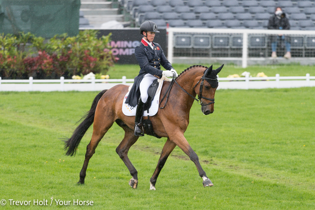 Horse posture: why it's so important and exercises to improve it - Your ...