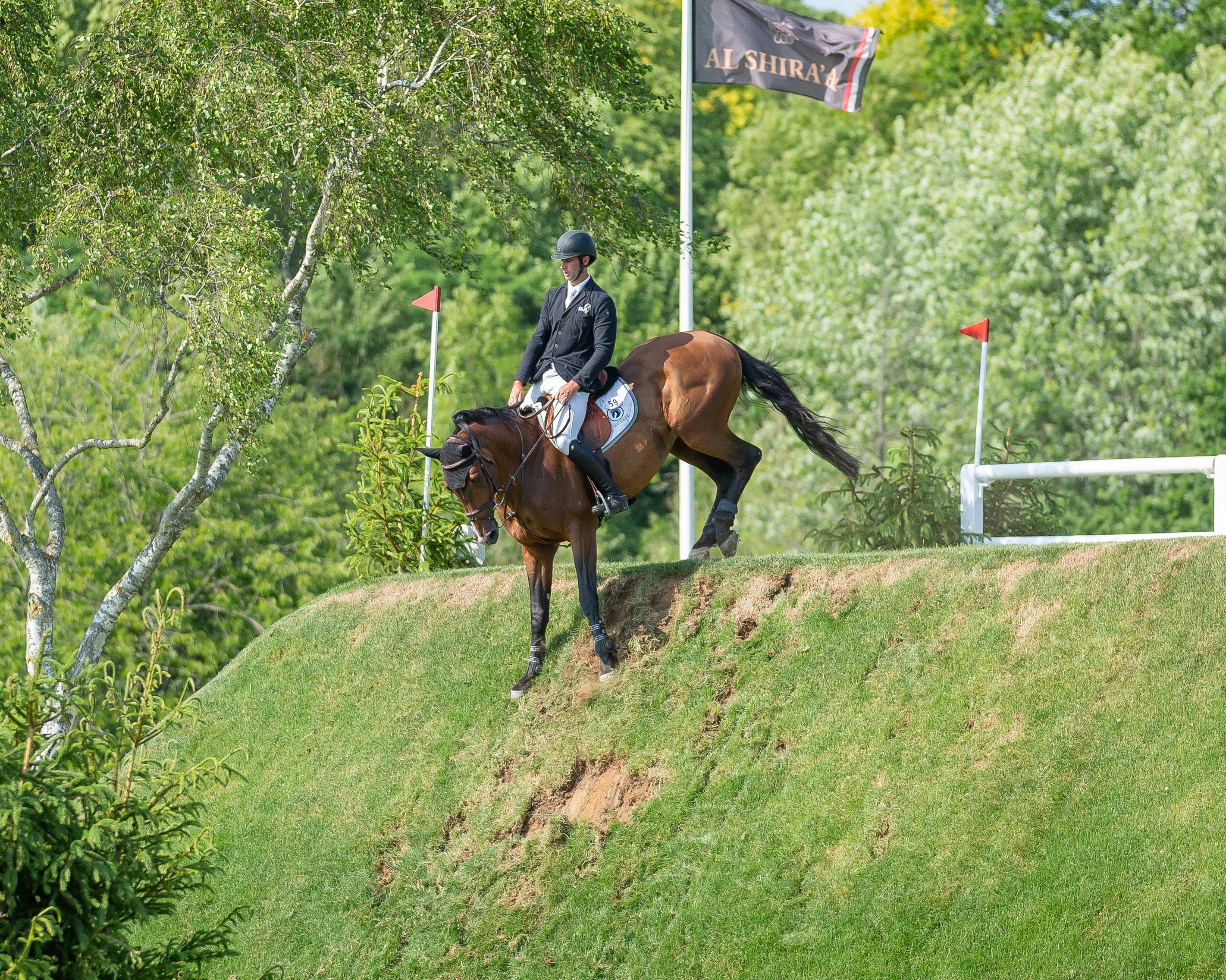 David Simpson wins Derby while King has first Hickstead victory - Your ...