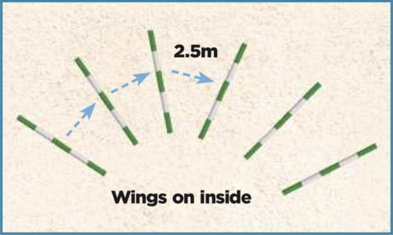 Three raised pole exercises to improve strength and stability - Your Horse
