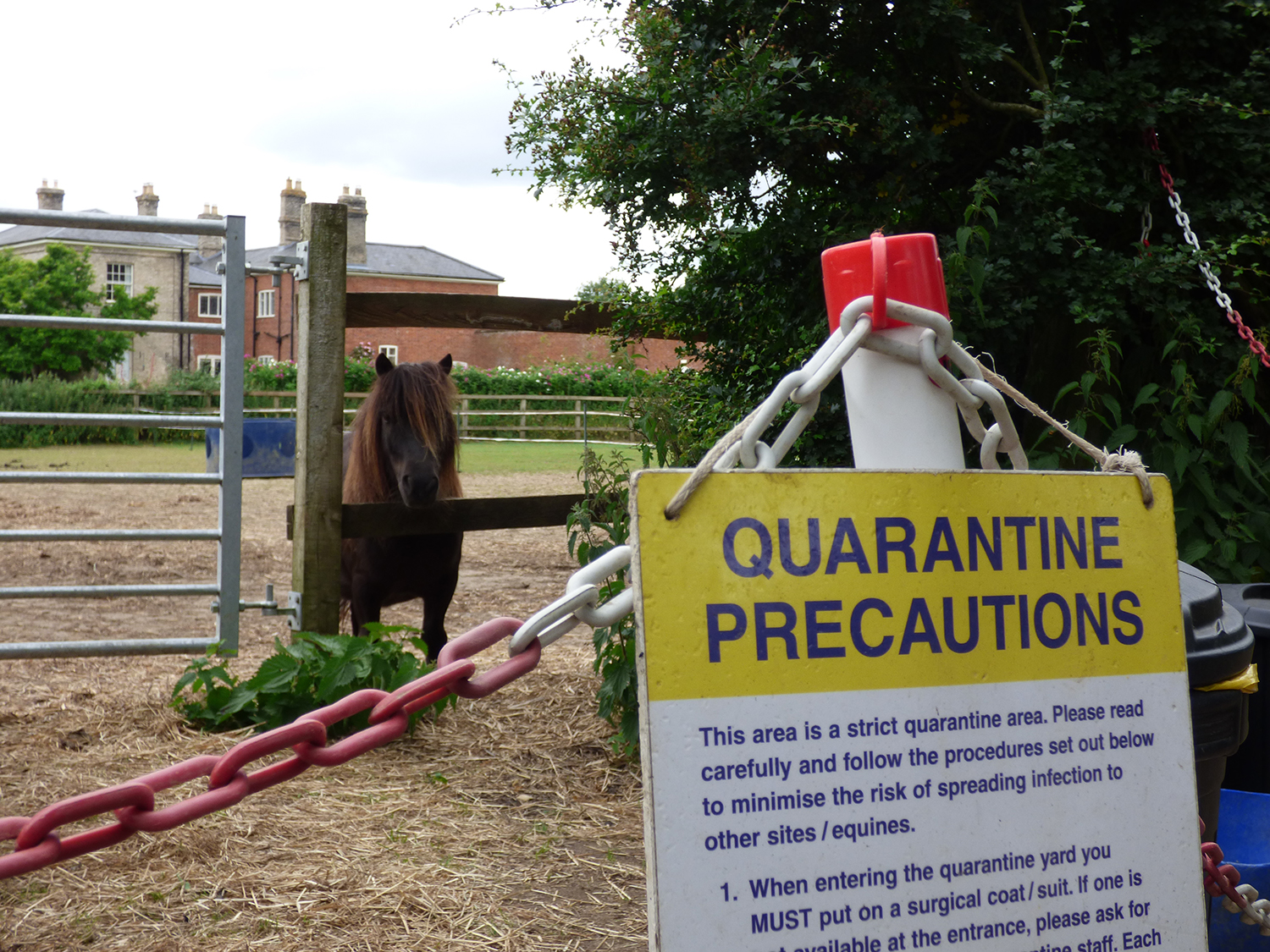 Quarantine in place at Redwings site following strangles case - Your Horse