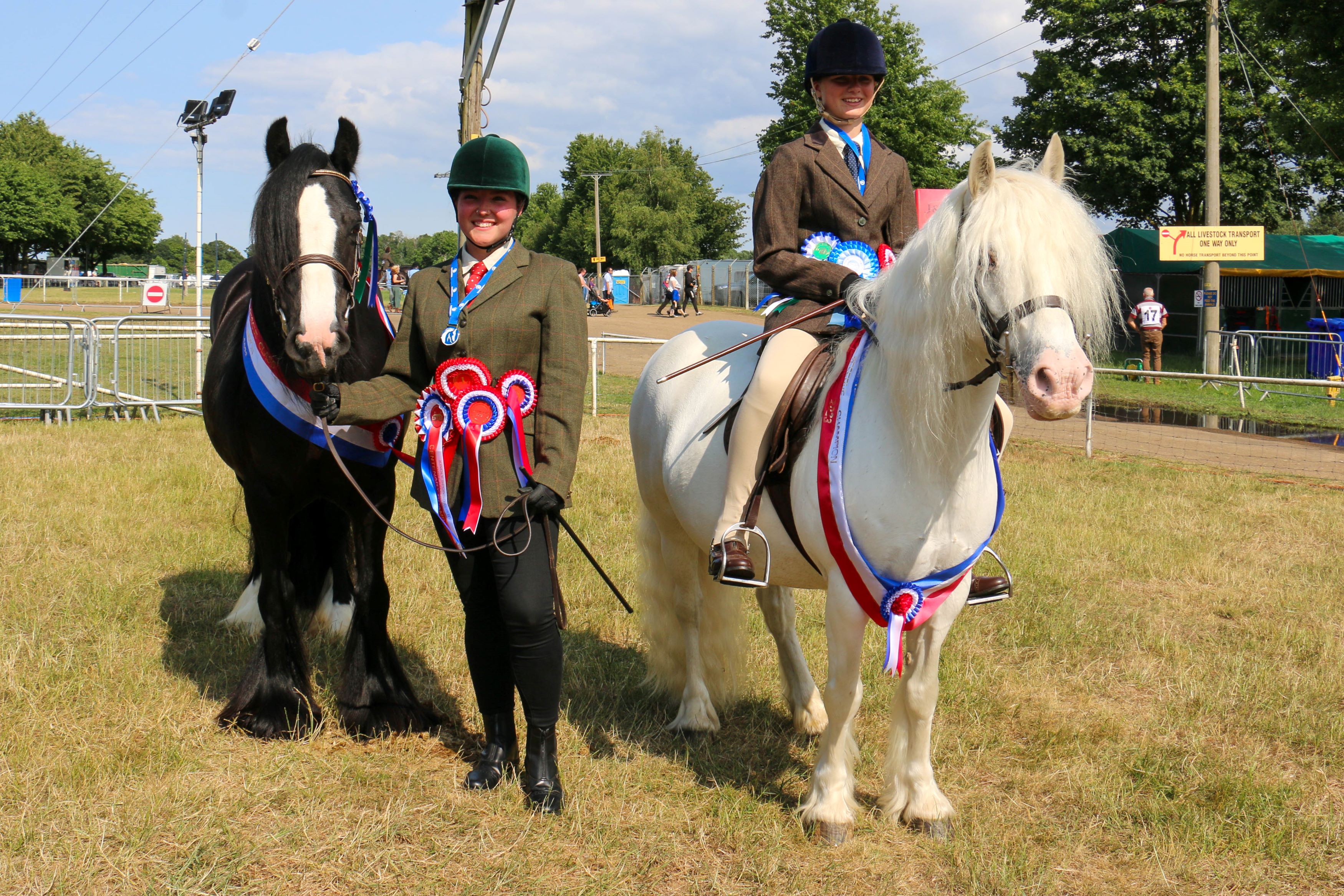 'We couldn't be more proud': Rescued ponies reign supreme at county ...
