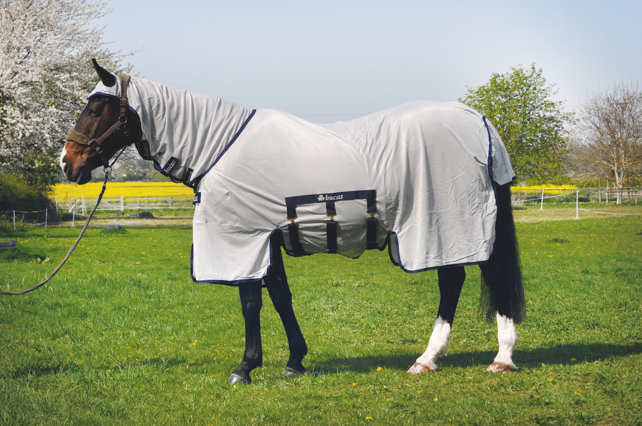 Best fly rugs for horses as tested by our team of riders - Your Horse
