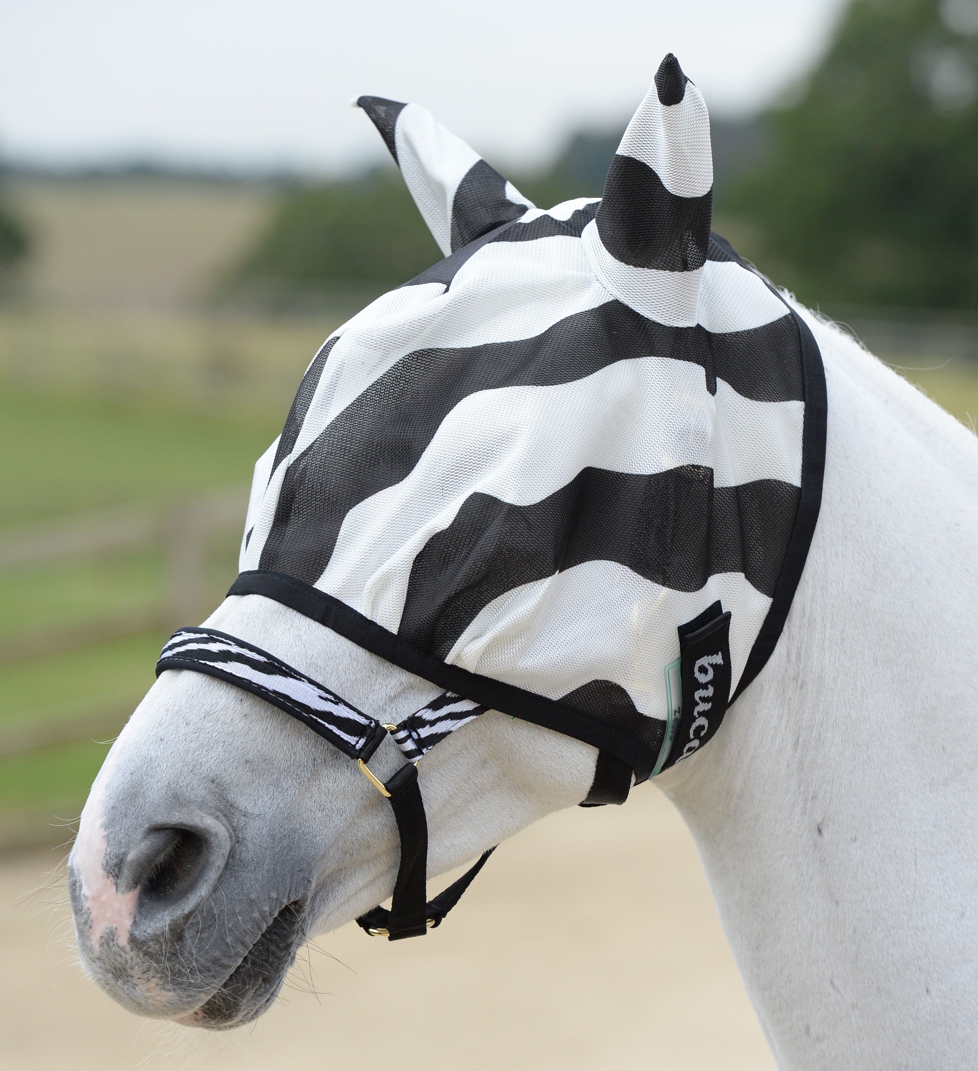 Our pick of fly masks and veils for horses - Your Horse
