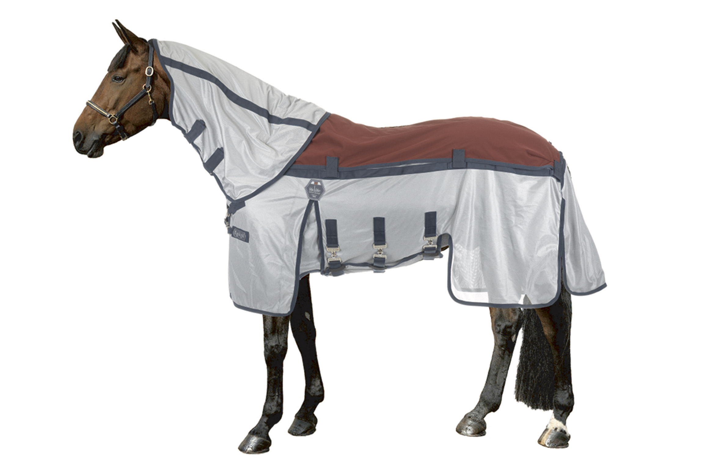 Best fly rugs for horses as tested by our team of riders - Your Horse