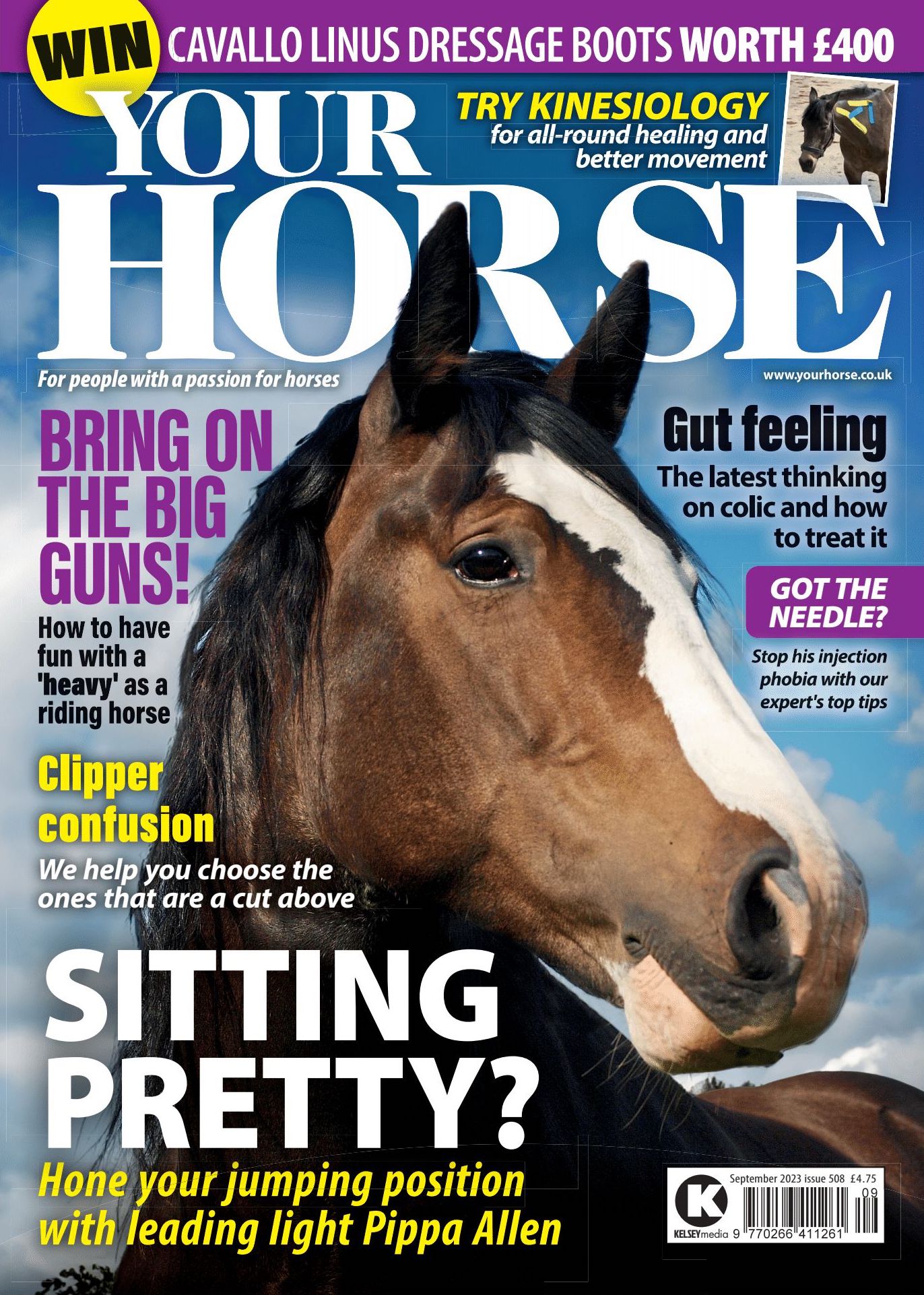 Inside the September issue of Your Horse - Your Horse