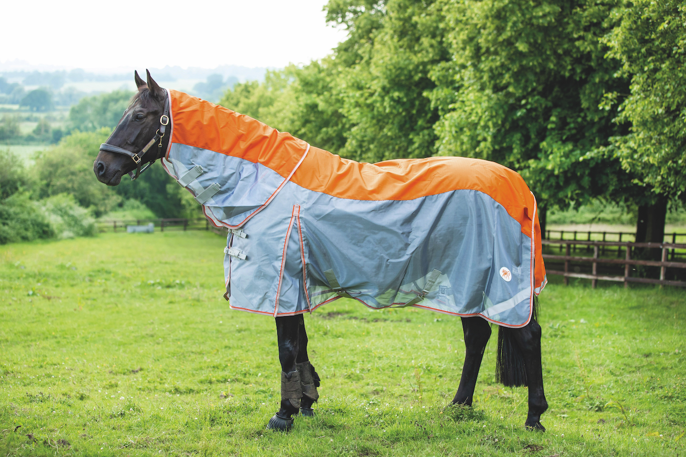 Best fly rugs for horses as tested by our team of riders - Your Horse