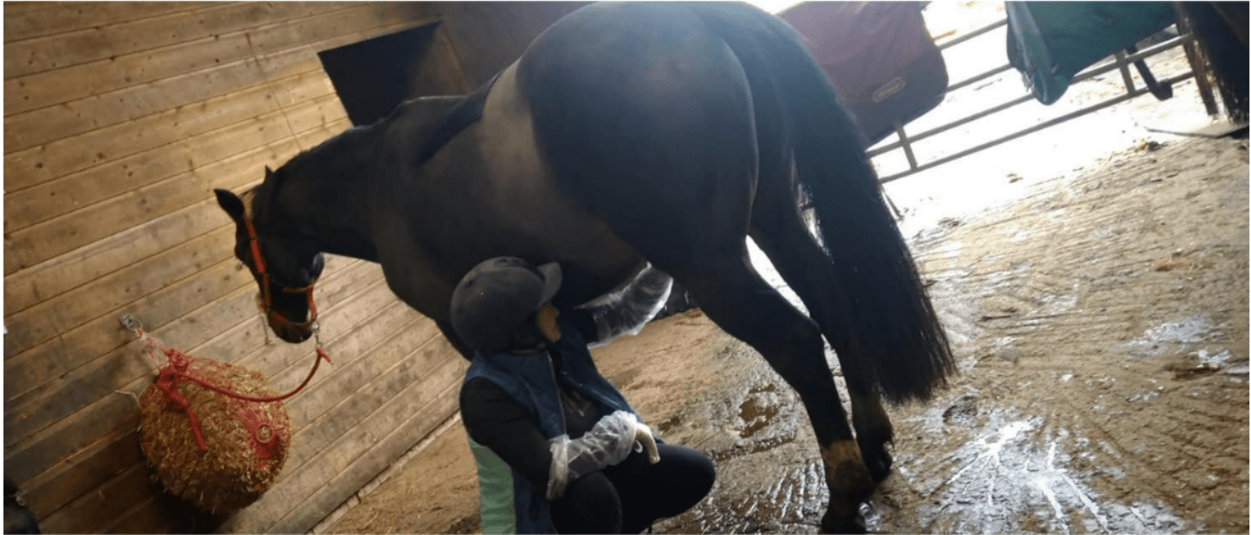 Accredited sheath cleaning training aims to improve industry standards ...