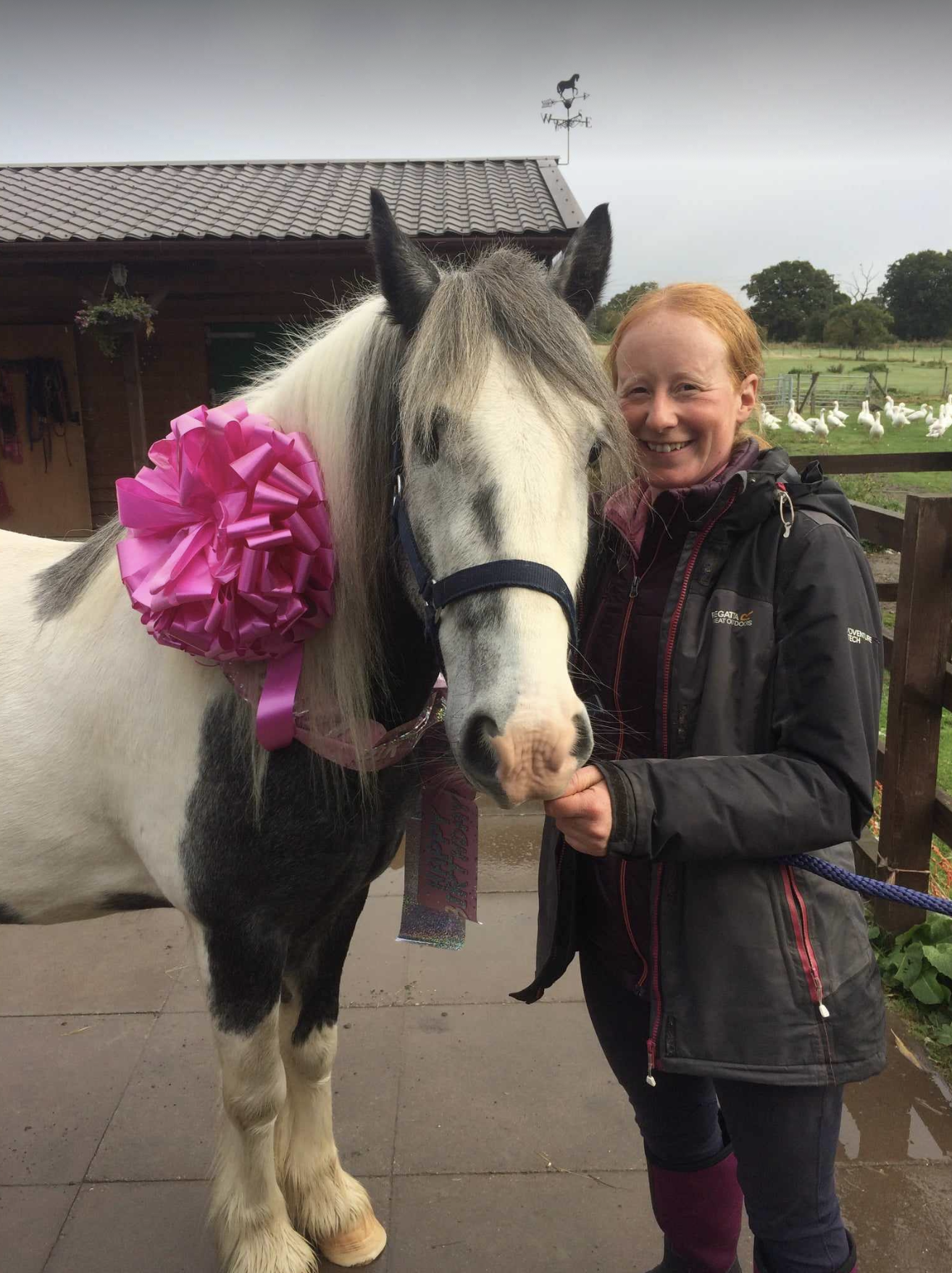 'He's been through a lot': Rider of one-eyed cob shares how the # ...