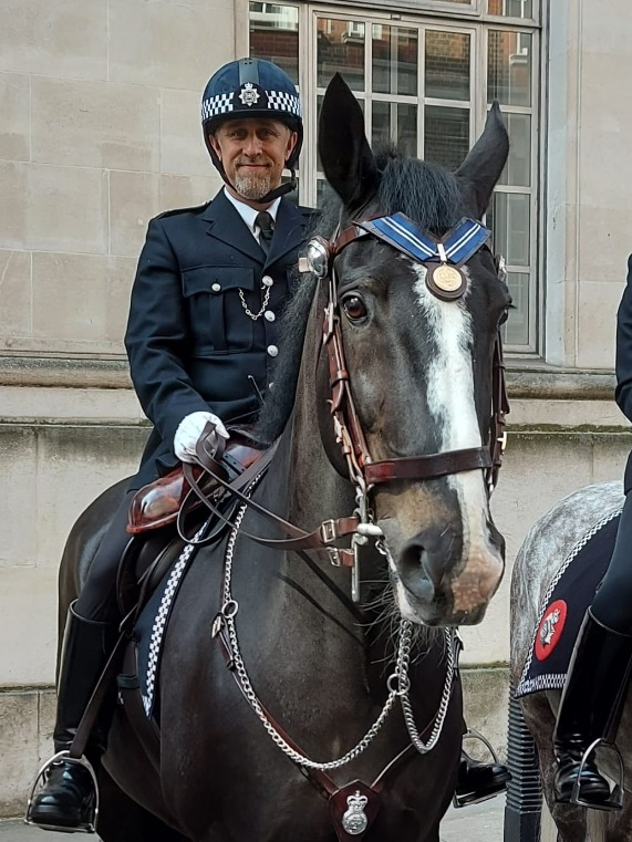 Police horse awarded bravery medal to enjoy well-deserved retirement ...
