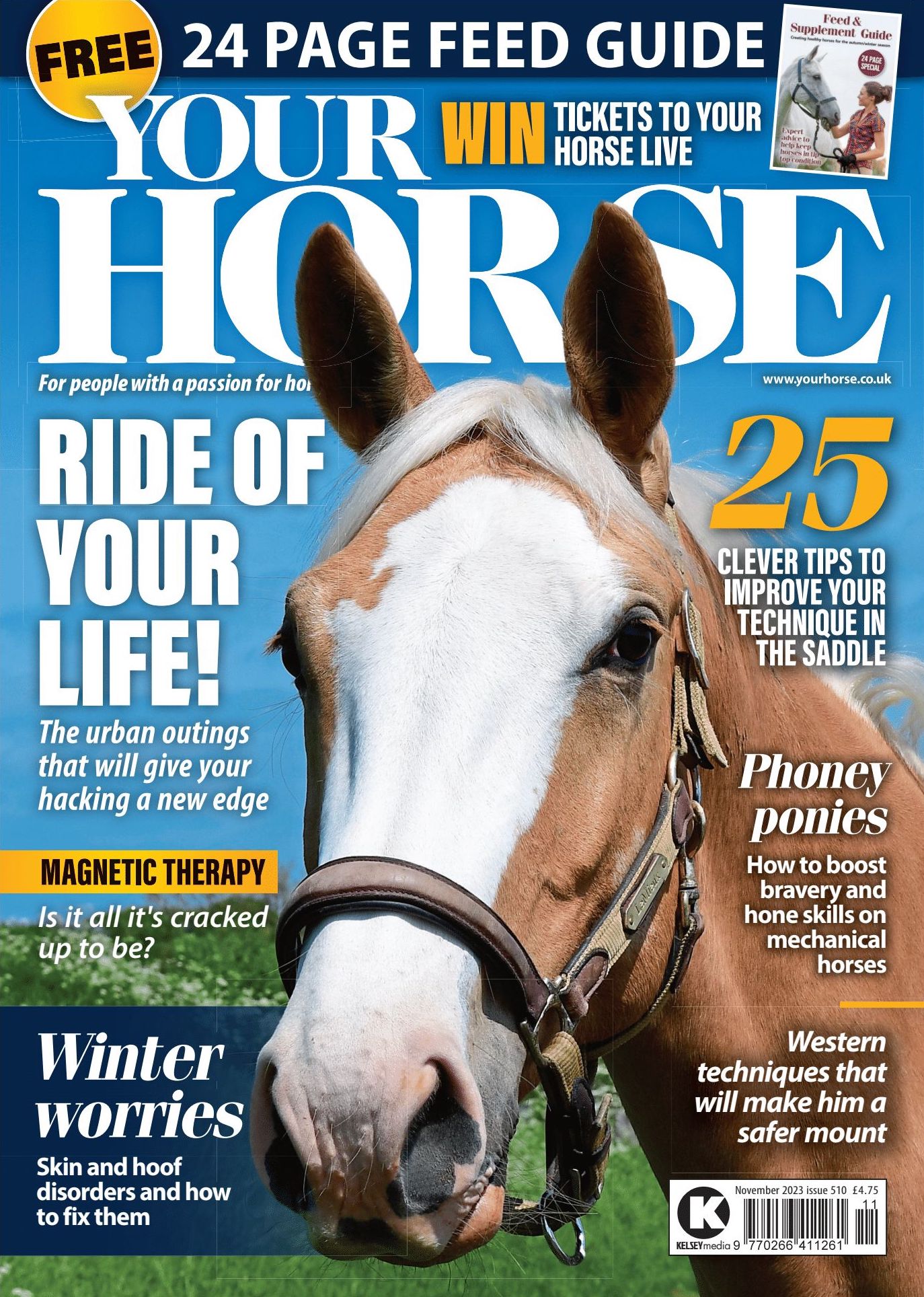Inside the November issue of Your Horse including our 24-page feed and ...