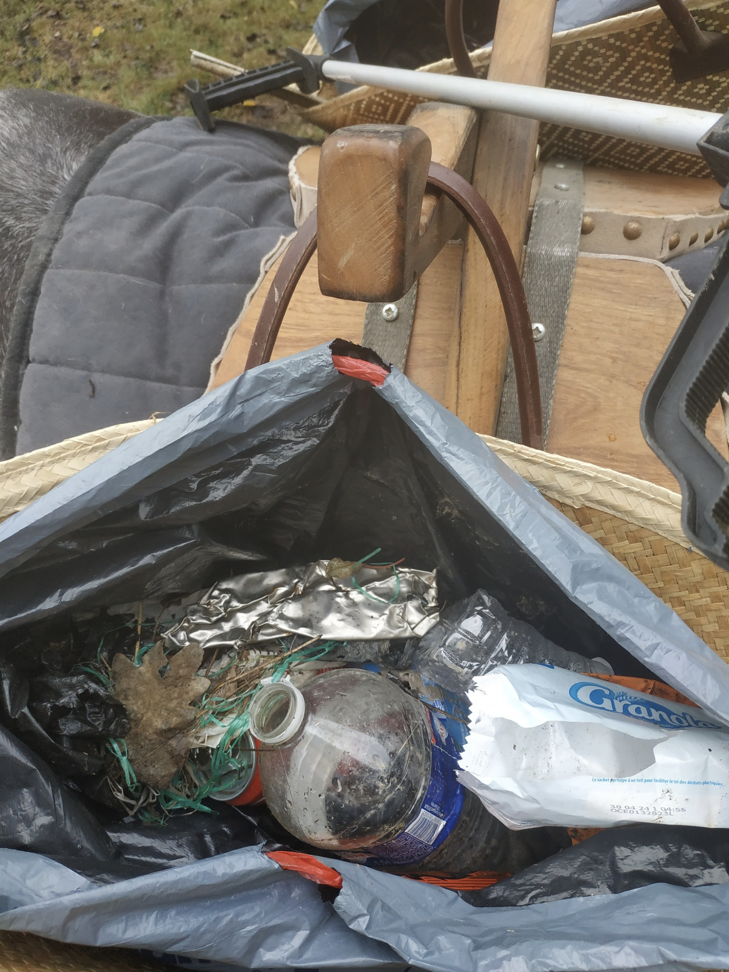 Rider and Shetland pony keep community clean with litter-picking hacks ...