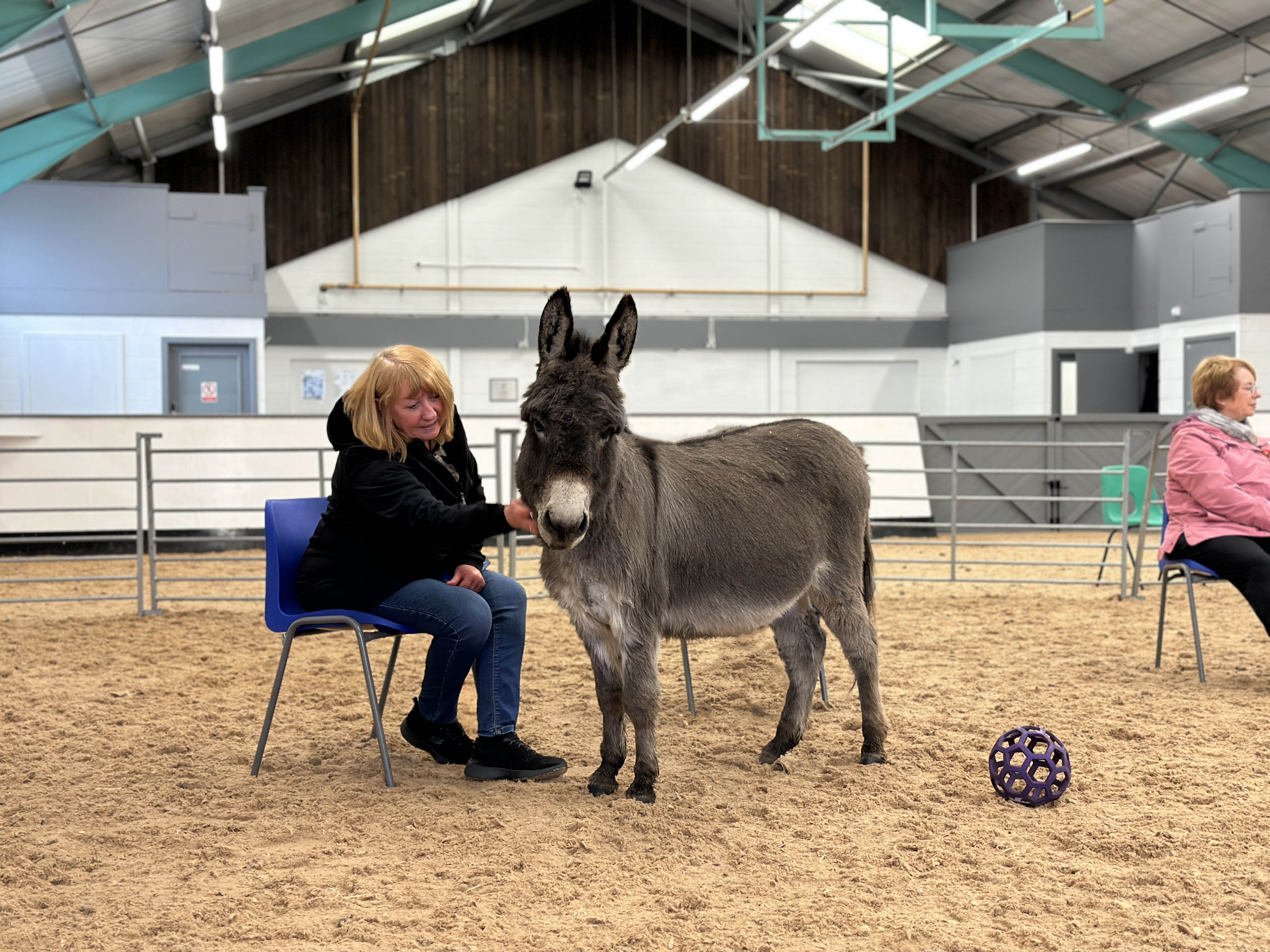 'Even those who were a little wary were totally immersed': Donkeys provide boost for support ...