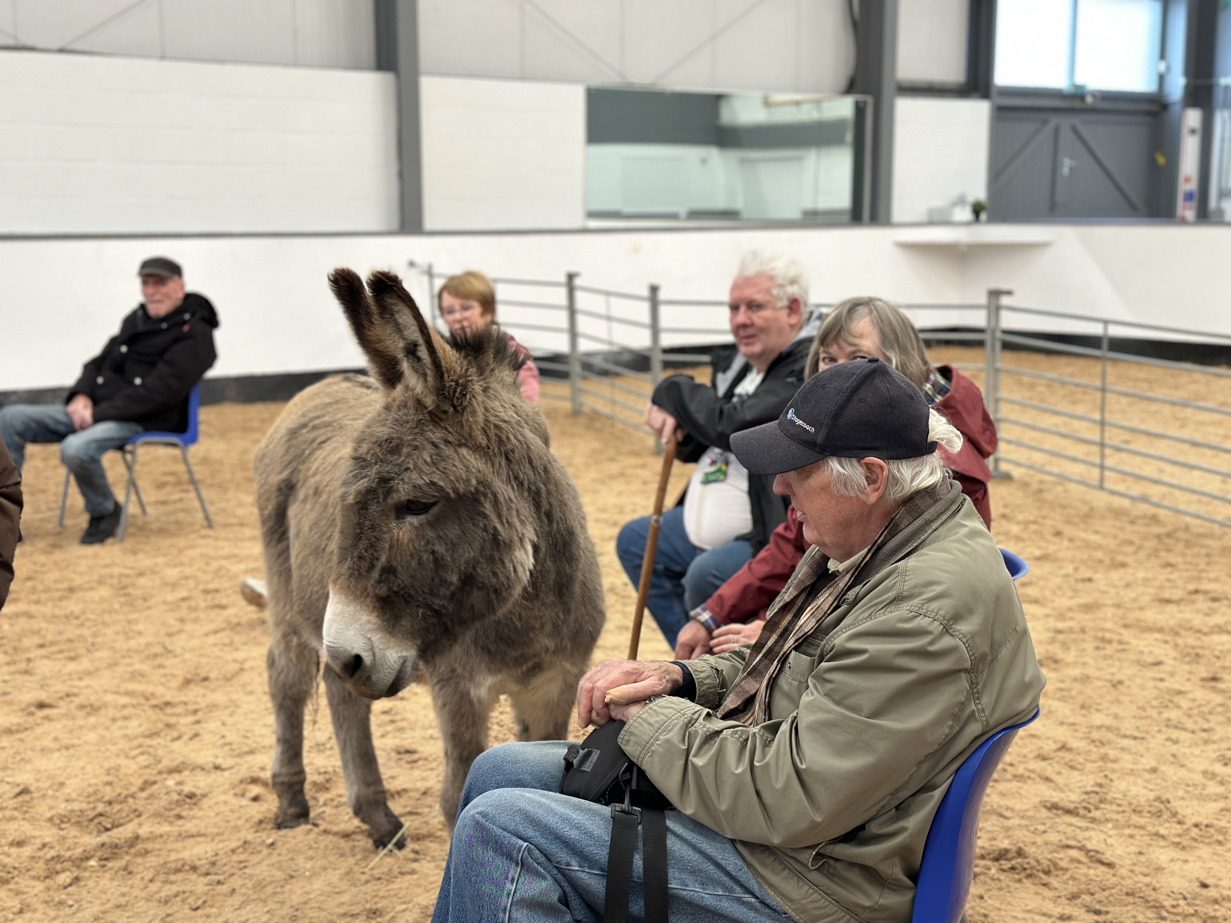 'Even those who were a little wary were totally immersed': Donkeys ...