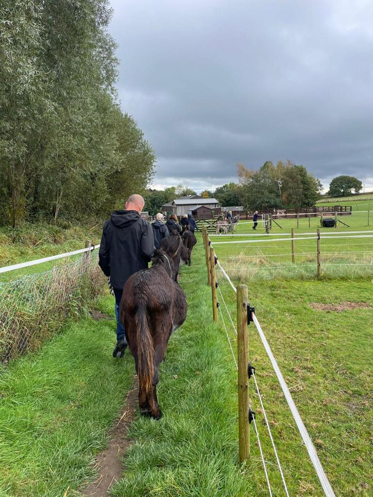 Police officers enjoy a break from the beat with Yorkshire donkeys ...