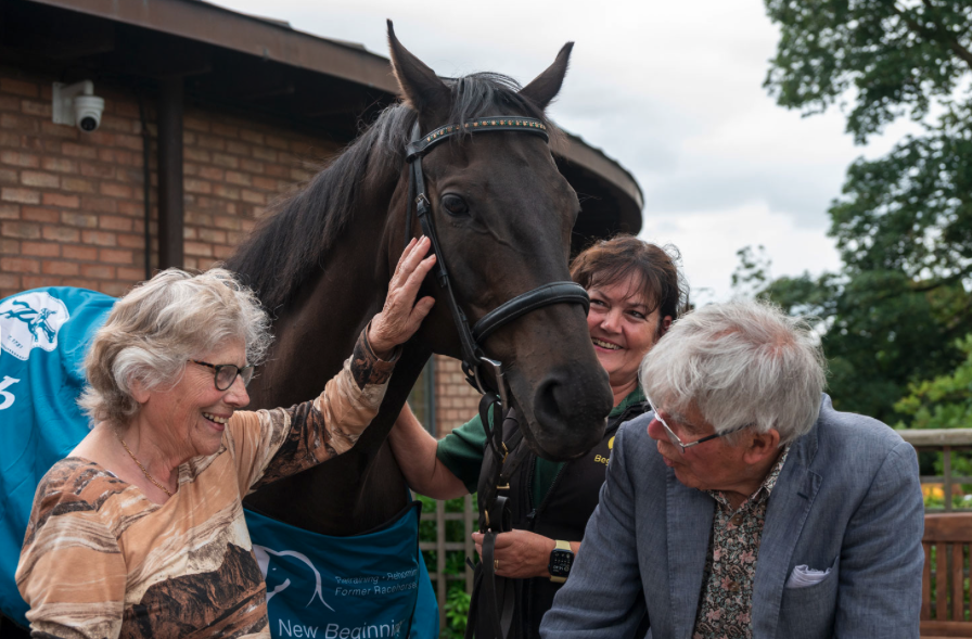 Exceptional ex-racehorses honoured at RoR Awards - Your Horse